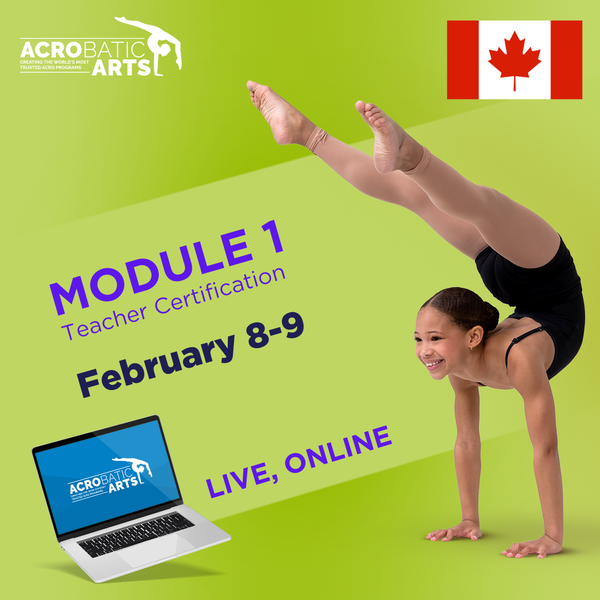 Acrobatic Arts: Training Courses